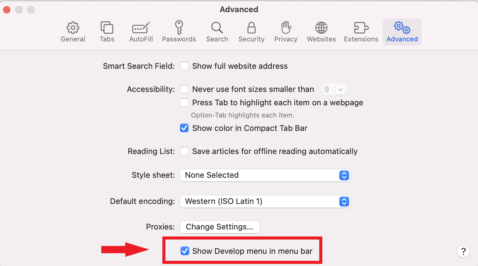 How to Open the Developer Console