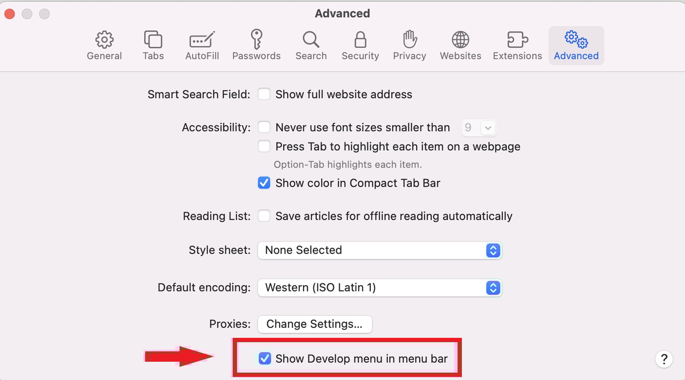 How to Open the Developer Console