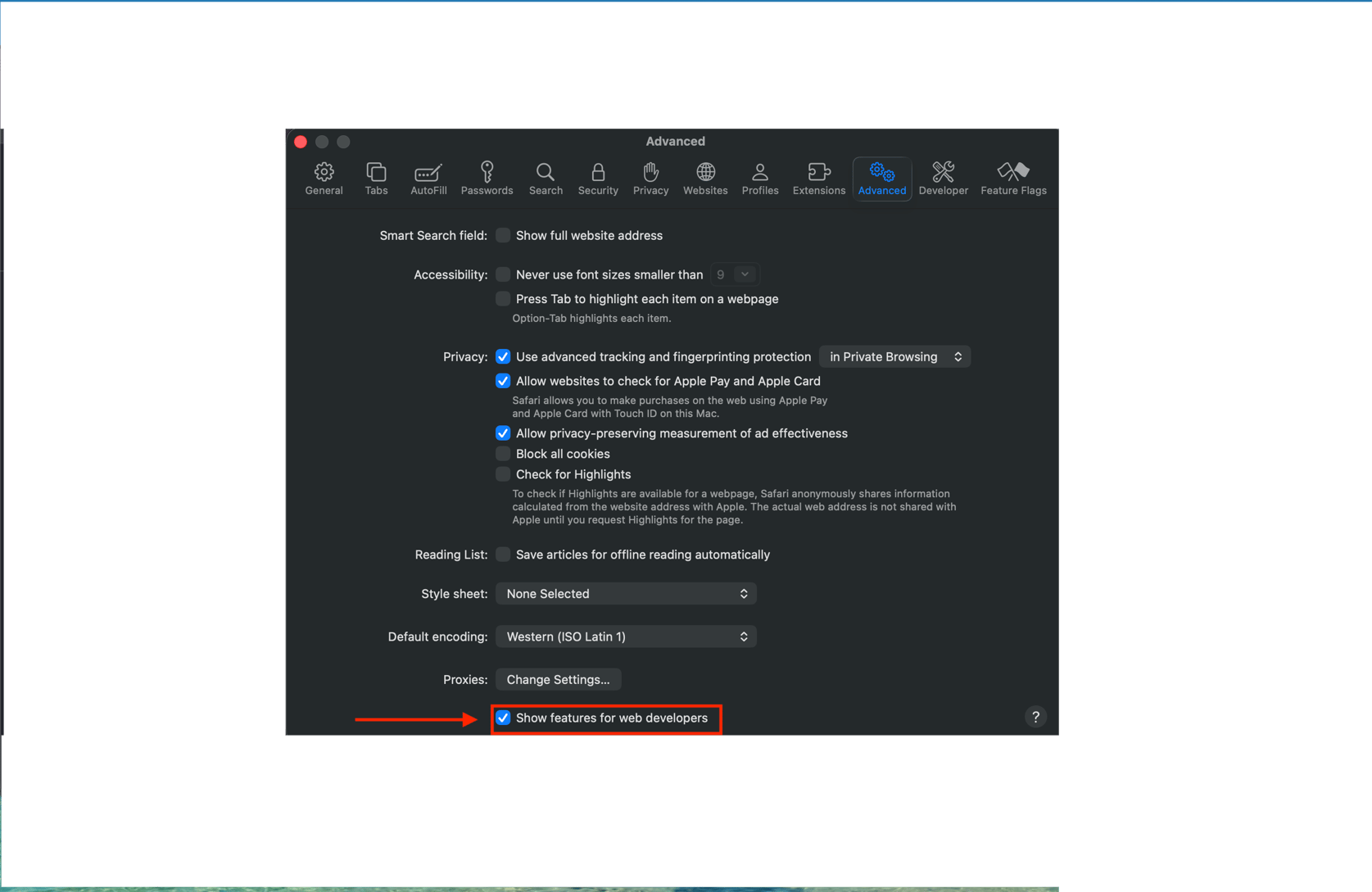 How to Open the Developer Console
